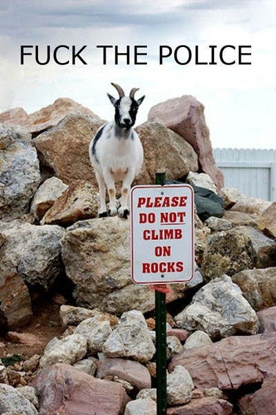 Badass Goat Meme By Woopom Memedroid