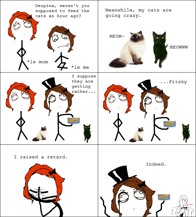 Cat Food Rage :) Memedroid