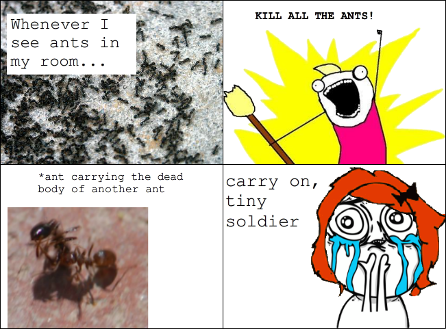 Brave little ants :) Memedroid