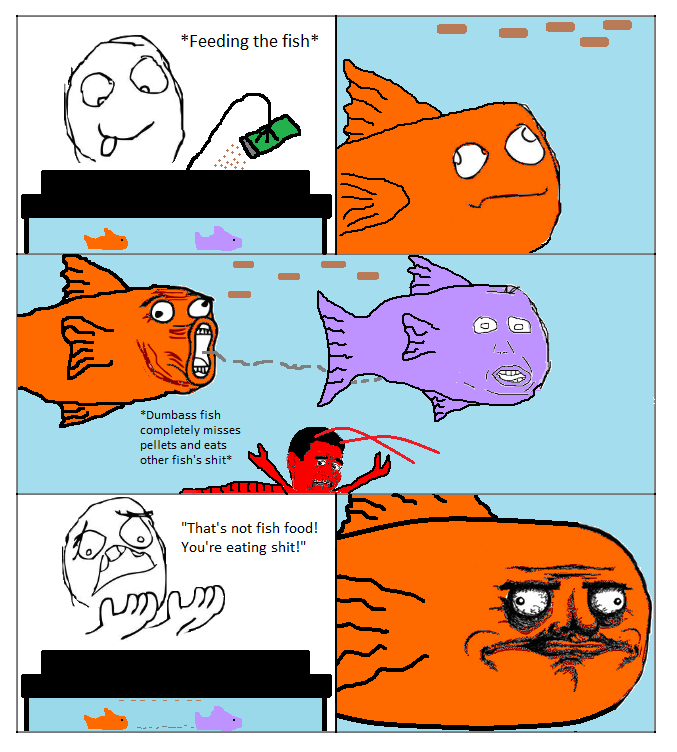 Fish :) Memedroid