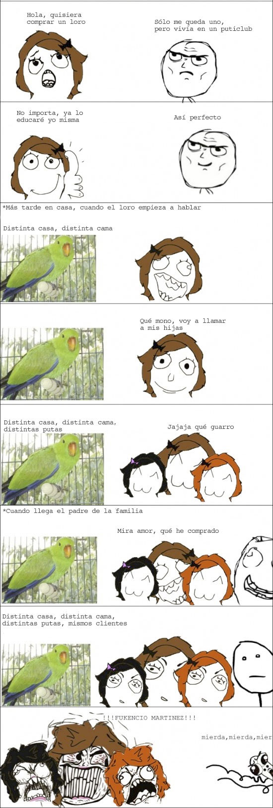 El loro :) Memedroid