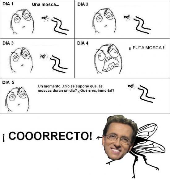 La eterna mosca :) Memedroid