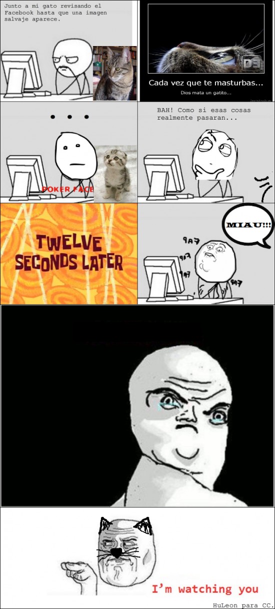 Â¡No me matarÃ¡s! :) Memedroid