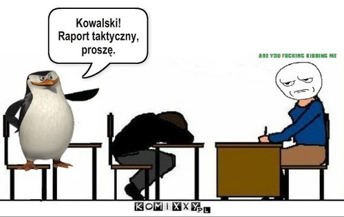 Pingwin i kowalski :) Memedroid
