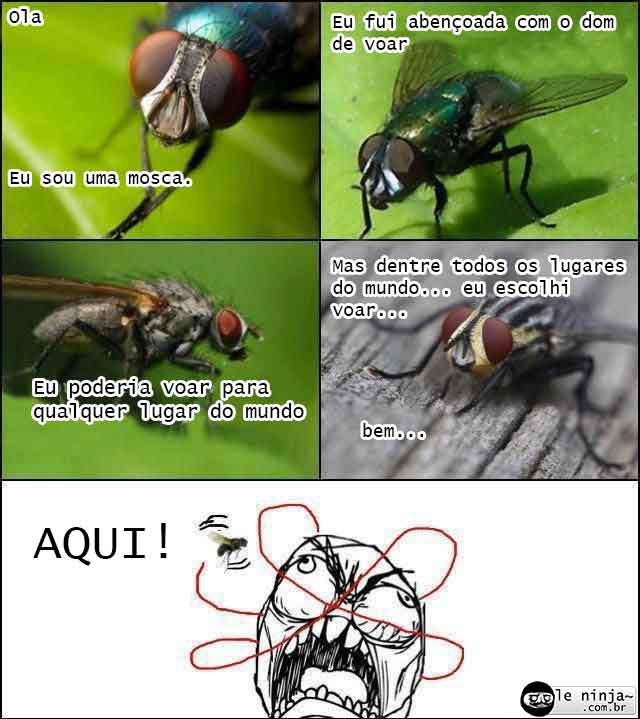 olÃ¡, eu sou uma mosca :) Memedroid