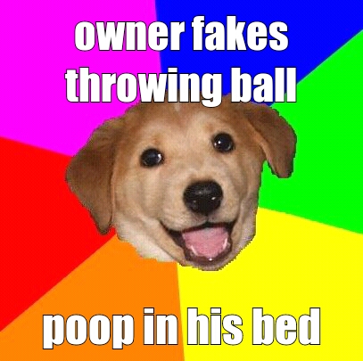 1st meme - Meme by Raphaelc22 :) Memedroid