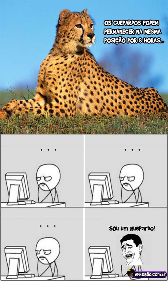 Guepardo - Meme by tagashira :) Memedroid