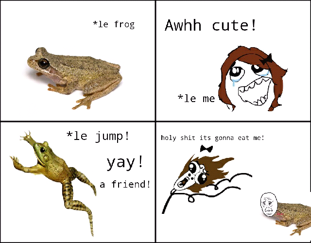 Frog scare! - Meme by uMaddieBro :) Memedroid