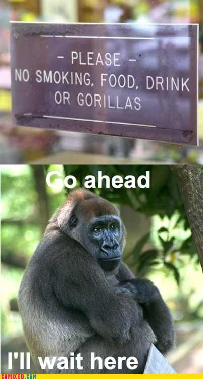 Not really - Meme subido por Fistycuffs :) Memedroid