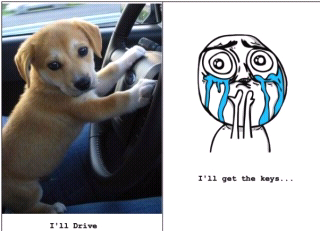 cute - Meme by Greeneyes86 :) Memedroid