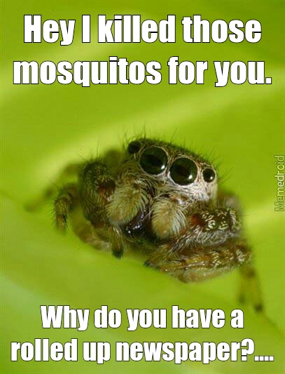 whyy? - Meme by joeysgirl96 :) Memedroid