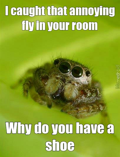 annoying fly - Meme by unlikely4.0 :) Memedroid
