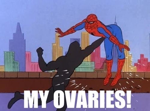 Meanwhile In My Ovaries Meme