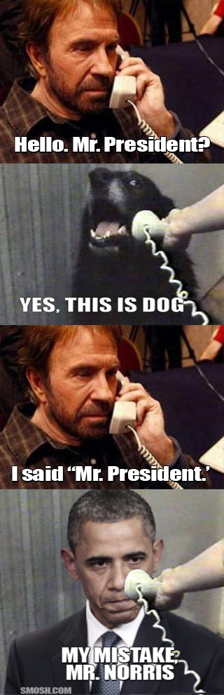 Dog - Meme by TrollFather :) Memedroid