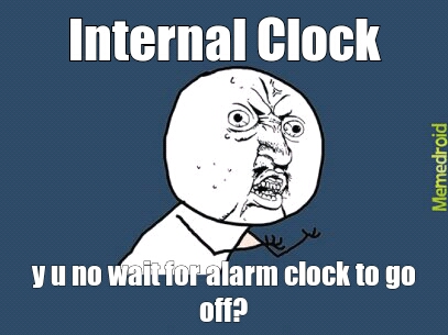 Internal Clock Memes
