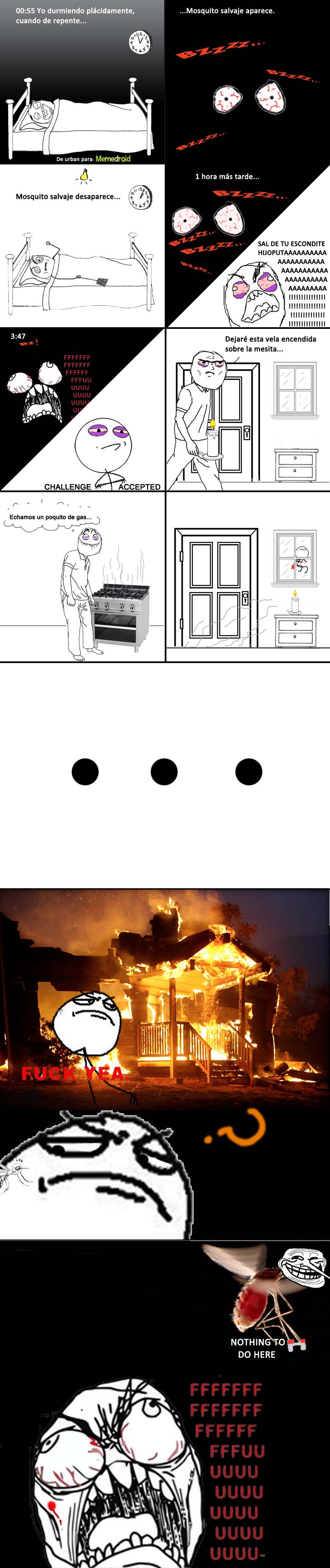 Mosquito Joputa - Meme by urban :) Memedroid