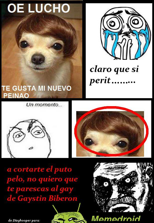 El Pelo del perritu - Meme subido por Dieghooper :) Memedroid