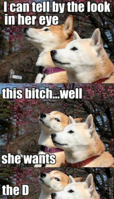 She wants the D - Meme by Notch :) Memedroid