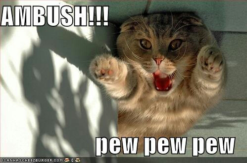 Ambush - Meme by lizzy22370 :) Memedroid