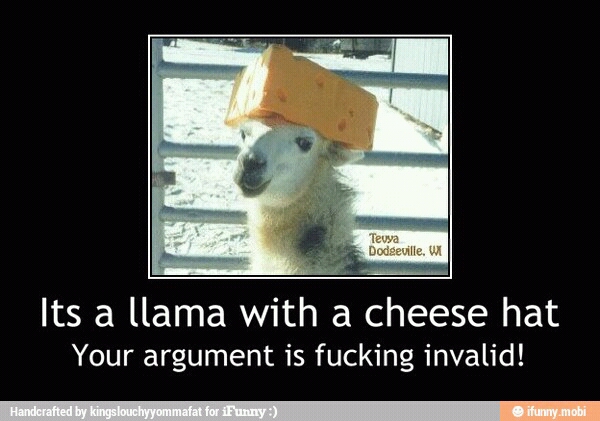 invalid - Meme by guitarman50101 :) Memedroid