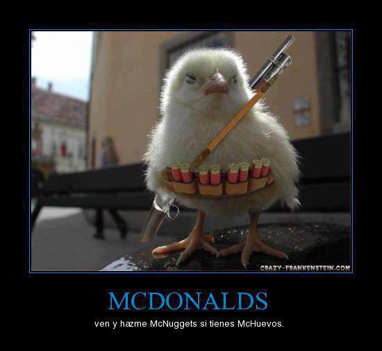 Imagen De Pollo Memes