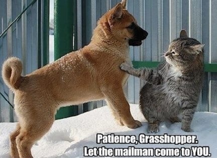 How are you doing today? - Meme subido por Watch_Out :) Memedroid