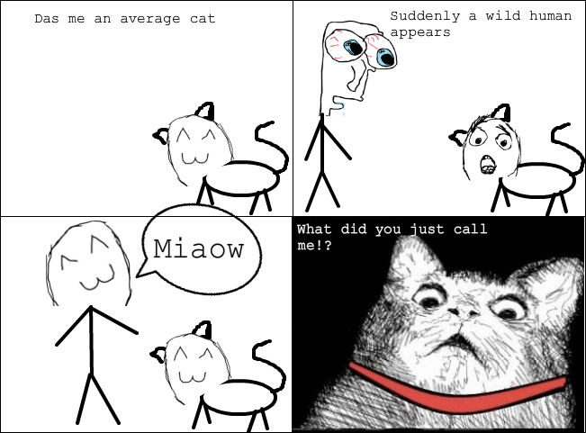 What did you just call me? - Meme subido por PineappleCookie :) Memedroid