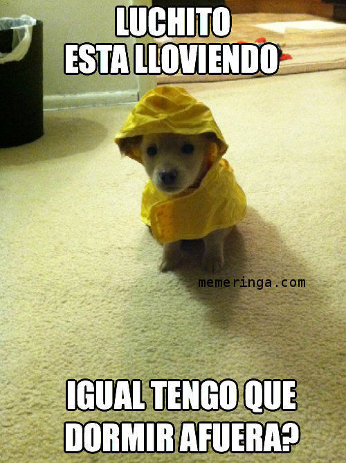 Puedes Entrar -_- - Meme subido por bovi_fontt :) Memedroid