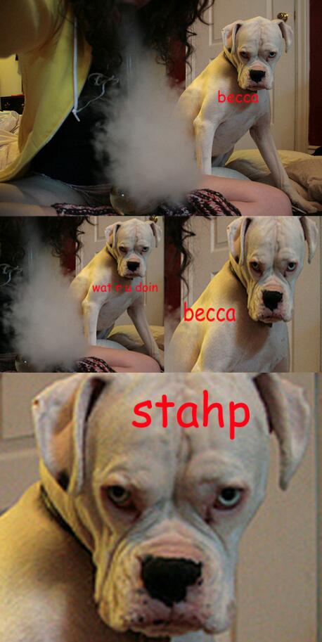 becca pls - Meme by PollyLovesA7X :) Memedroid