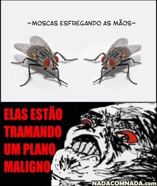 Moscas - Meme by Danilodark :) Memedroid