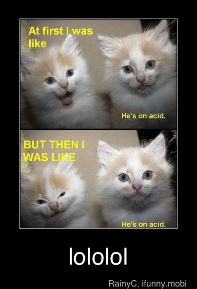 Hes on acid - Meme by CheyanneHose :) Memedroid