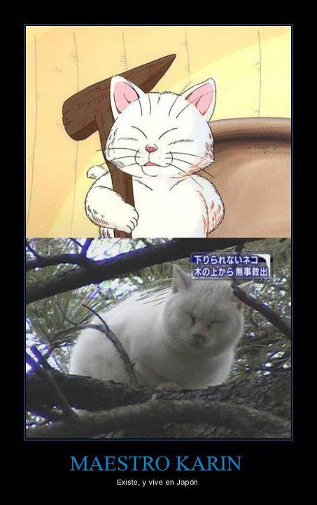 maestro karim - Meme subido por kenixx :) Memedroid