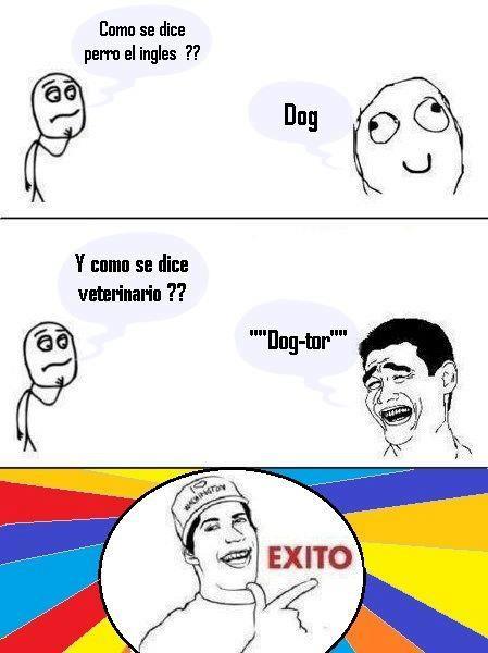 Exito - Meme by bakudenisha :) Memedroid