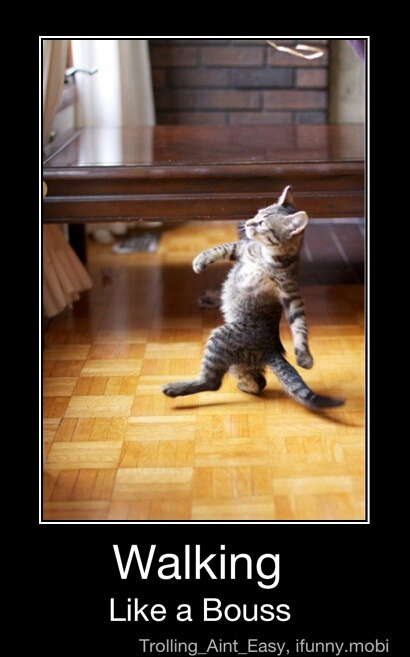 walkin - Meme by Basher :) Memedroid