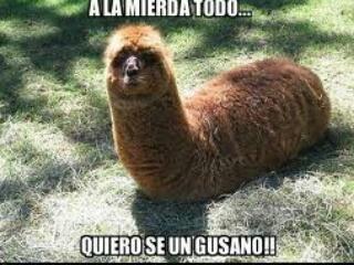 gusano - Meme subido por diegocreig98 :) Memedroid