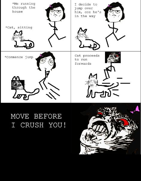 Cat Troll - Meme by marissa_shark :) Memedroid