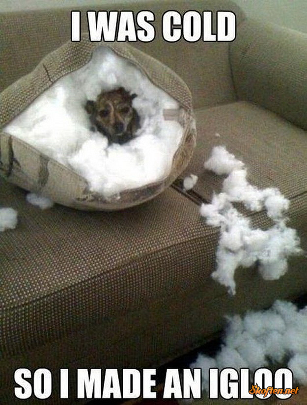 sooo cold - Meme by megusta1290 :) Memedroid