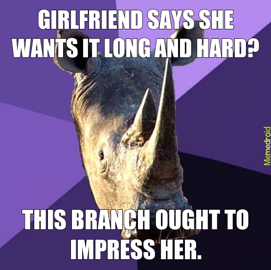 rhino lol - Meme by ashoe319 :) Memedroid