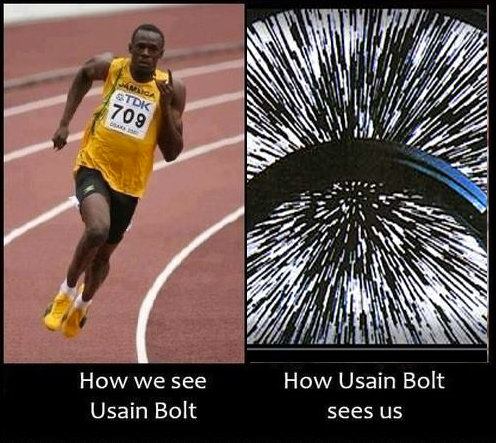 *meep meep* - Meme by xXmiguelXx :) Memedroid