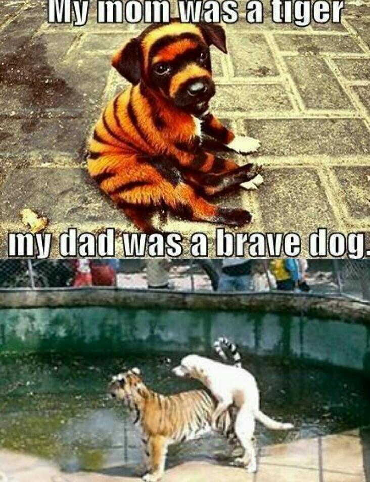 H-H-Hiiiiiiii - Meme subido por Symphonicroses27 :) Memedroid