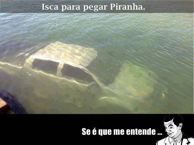 Isca de pegar piranhas - Meme by victor04itb2011 :) Memedroid