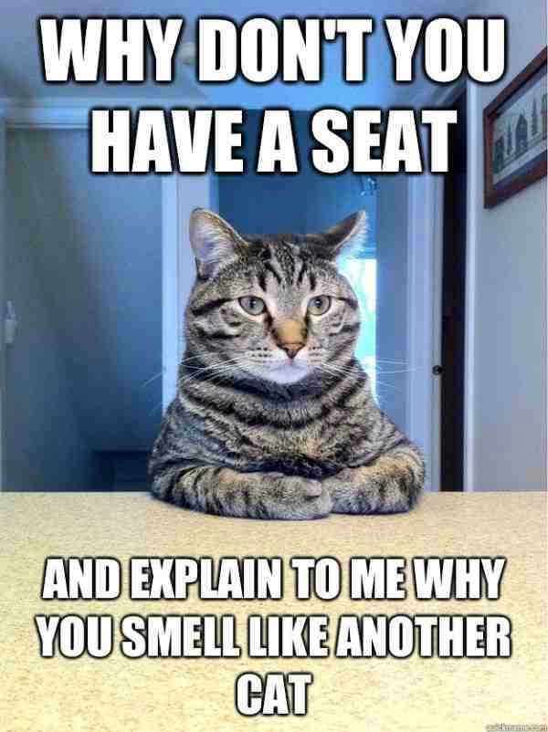 purr - Meme by slimcontroller :) Memedroid