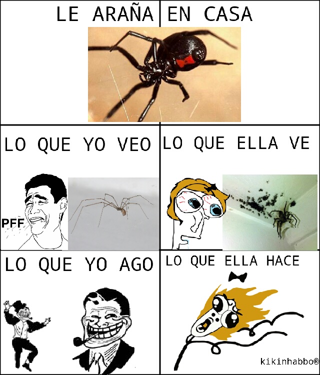reaccion al ver una araÃ±a - Meme by kikin_habbo :) Memedroid