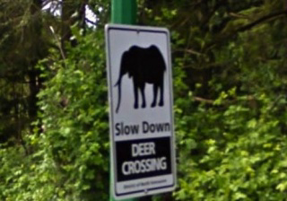 Yeah, deer. - Meme by queenofderp33 :) Memedroid