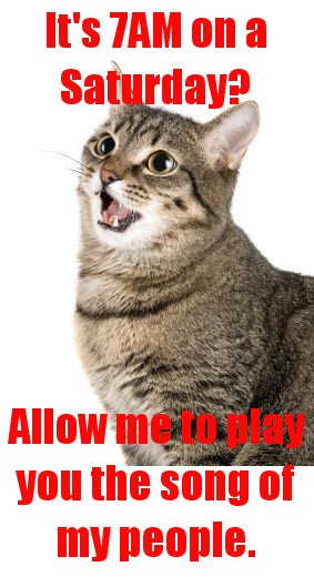 So much mewing! - Meme by ladyislingering :) Memedroid