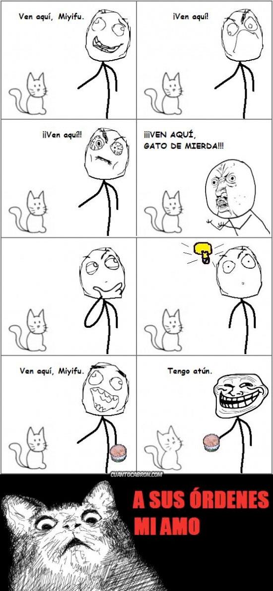 comida - Meme subido por snaider_tupul :) Memedroid