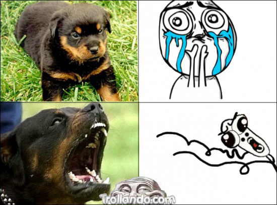 bonitinho - Meme by pedro2012campos :) Memedroid