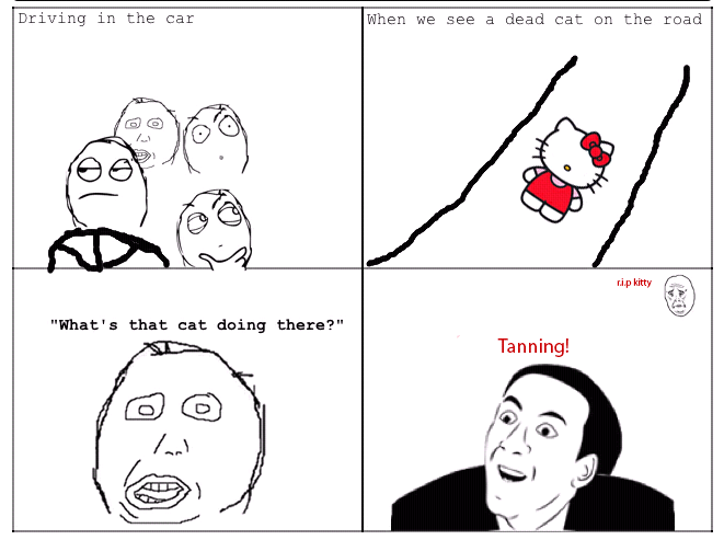 Dead.cat - Meme by fallout3 :) Memedroid