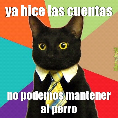 gato trabajador - Meme subido por tovaldo_15 :) Memedroid