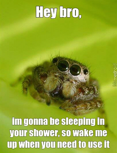 what they think - Meme by fruitloopz :) Memedroid